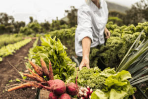 The Essential Guide to Careers in Foodservice - Escoffier