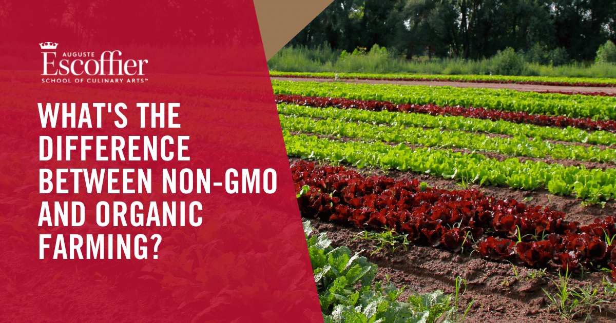 What's The Difference Between Non-GMO and Organic Farming? - Escoffier
