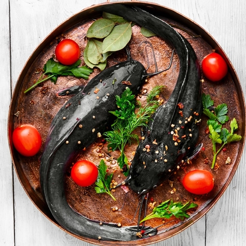 Celebrate National Catfish Month With These Brilliant Recipes - Escoffier