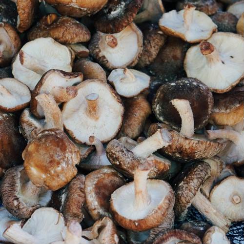 What are 'functional mushrooms' and how can they be used?