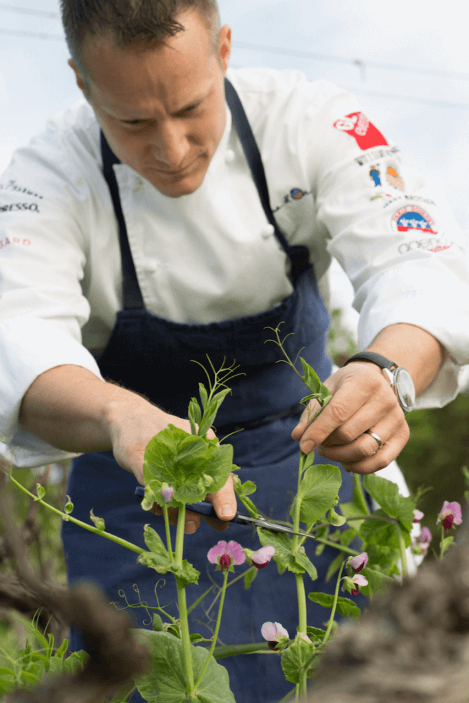 Bocuse d’Or Medalist Philip Tessier on the Intensity of Cooking ...